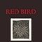 Red Bird: Poems: Oliver, Mary: 9780807068939: Amazon.com: Books