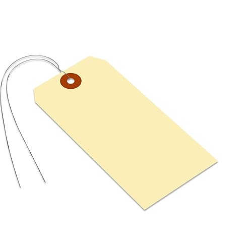 SmartSign Blank Shipping Tags with Pre-Attached Loop Strings, Size-6 ...