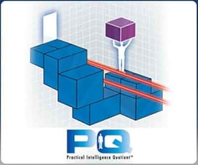 Amazon.com: PQ: Practical Intelligence Quotient - Sony PSP: Artist Not ...