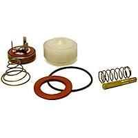 Amazon.com: Apollo-Conbraco - 1/2-1" PVB Major Repair Kit, 40-500-02 ...