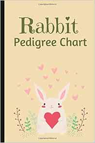 Rabbit Pedigree Chart: A Rabbit Pedigree Template To Keep Record of the ...
