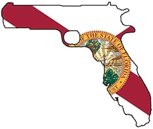 Amazon.com: EW Designs Gunshine Florida State Gun Shape Sticker Decal ...