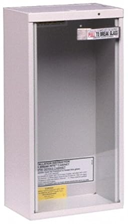 5 Lb. Capacity, Surface Mount, Steel Fire Extinguisher Cabinet: Amazon ...