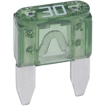 Amazon.com: Bussmann 30 Amp Mini Blade Fuse: Automotive