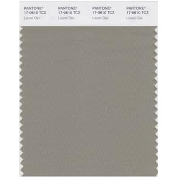 PANTONE Smart 13-0401X Color Swatch Card, Oatmeal - House Paint ...