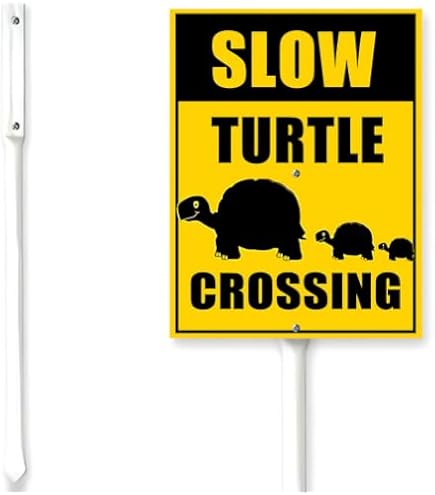 Slow Turtle Signs