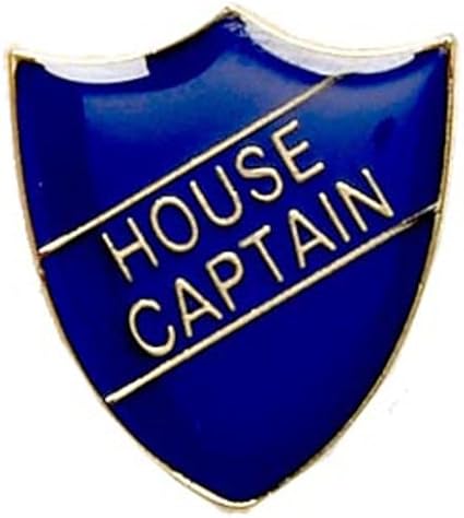 School Badge House Captain Traditional Shield Shape Several Colours ...
