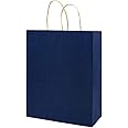 Amazon.com: 100 Pack 5.25x3.25x8 inch Small Blue Kraft Paper Bags with ...