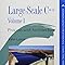 Large-Scale C++ Software Development: Process and Architecture (The ...