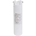 Amazon.com: Elkay EWF3000 WaterSentry Plus Filter System Kit (Bottle ...
