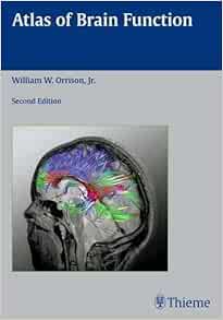 Atlas of Brain Function: 9781588905253: Medicine & Health Science Books ...