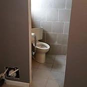 Amazon.com: American Standard 270AD001.020 Cadet 3 Right Height ...