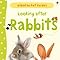 Looking After Rabbits (Pet Guides) : Fiona Patchett, Christyan Fox ...