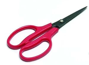 Amazon.com: Magic Scissors: Beauty