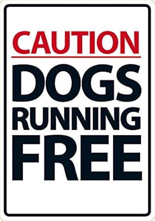 Caution Dogs Running Free A5 Sign: Amazon.co.uk: Pet Supplies