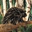 Amazon.com: Folkmanis Porcupine Hand Puppet: Toys & Games