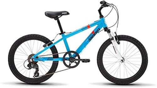 Diamondback Bicycles Octane 20 Youth 20" Wheel Mountain Bike, Blue in ...