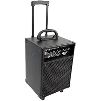 Amazon.com: Peavey Solo Portable Battery Operated Sound System: Musical ...