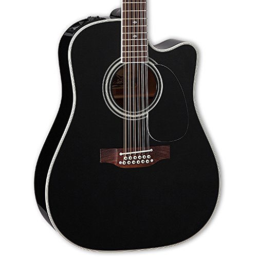 Takamine EF381SC 12-String Dreadnought Acoustic-Electric Guitar with Hard