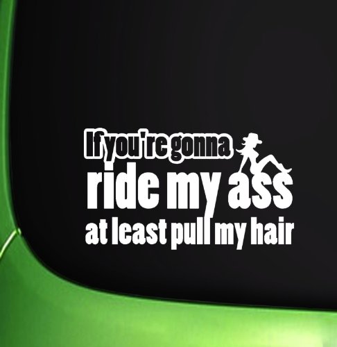 Compare price to offensive car decals | TragerLaw.biz