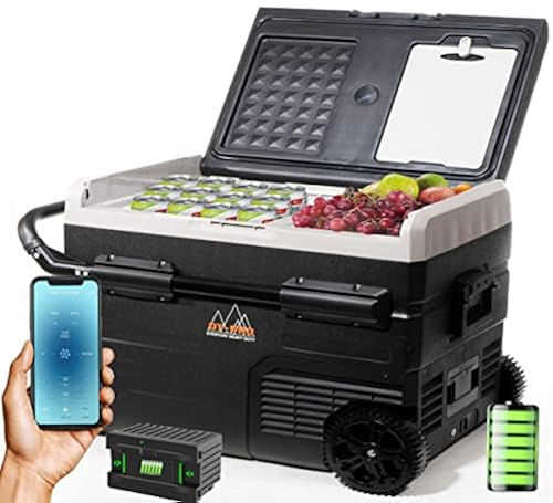 12V Portable Refrigerator Battery Operated Camping Fridge&Freezer, Off ...