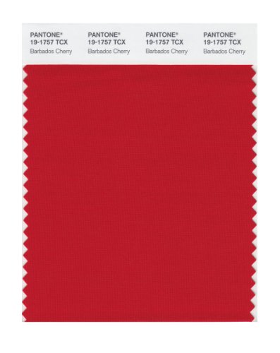 Pantone 19-1757 TCX Smart Color Swatch Card, Barbados Cherry | Amazon ...