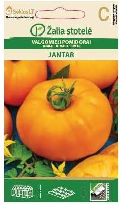 Seklos LT | Tomato JANTAR Seeds | Vegetable Seeds | for Gardening | 40 ...