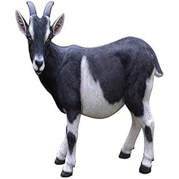 Amazon.com : Bits and Pieces - Realistic Goat Statue - Lifelike Durable ...
