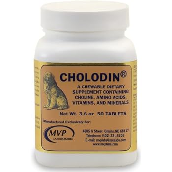 Amazon.com : Cholodin Tablets 50 Tabs : Pet Antioxidant Nutritional ...