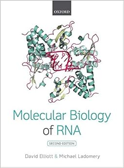 Buy Molecular Biology of RNA Book Online at Low Prices in India ...