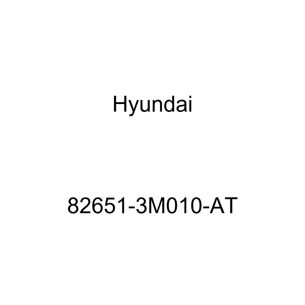 Amazon.com: Genuine Hyundai 82651-3M010-AT Door Handle Assembly ...