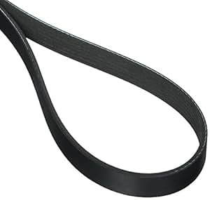 Gates K060388 Multi V-Groove Belt, Serpentine - Amazon Canada