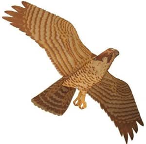 Amazon.com: Jackite Assembled Peregrine Falcon Bird Kite, Wind Sock ...