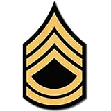 Amazon.com: JS Artworks United States Army Sergeant First Class SFC E-7 ...