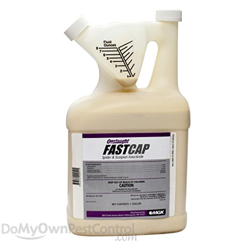 Onslaught FastCap Spider and Scorpion Insecticide - Gallon in Oman ...