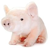 Micropigs as Pets, Do They Stay Small? 10 Important Facts | Animal Bliss