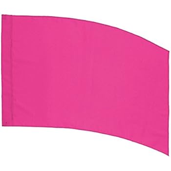 Amazon.com : 6’ Color Guard Flag Pole Package by Director’s Showcase ...