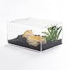 REPTI ZOO Magnetic Acrylic Reptile Enclosure, 8x6x4 Inch Flat Long ...