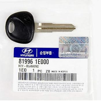 Amazon.com: HYUNDAI 81996-3K000 Key-Blanking: Automotive