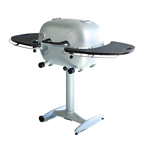PK Grill Review - PK 360 Grill & Smoker | KitchenSanity