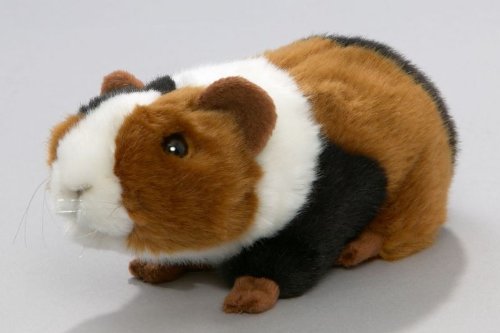 Guinea Pig Stuffed Animals - Kritters in the Mailbox - Guinea Pig ...