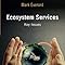 Ecosystem Services Key Issues in Environment and Sustainability: Amazon ...