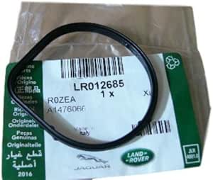 Amazon.com: LAND ROVER GENUINE VACUUM PUMP SEAL FOR ENGINES 5.0L 5.0L ...