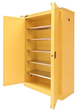 Amazon.com: SECURALL P360 Paint/Ink Storage Cabinet, 2 Self-Close Self ...