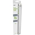 Feit Electric F8T5/CW 8-Watt Fluorescent T5 Bulb - Fluorescent Tubes - Amazon.com