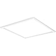 Lithonia Lighting Frame 2x2 LED Lay-in Ceiling Light, 2 ft. x 2 ft ...
