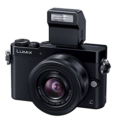 Panasonic flashlight (black) DMW-FL70-K - Camp Stuffs