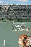 Landschaften und Geologie der Schweiz: Amazon.de: O. Adrian Pfiffner: BÃ¼cher