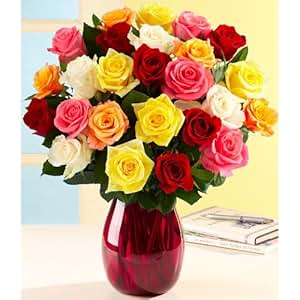 Amazon.com : Two Dozen Long Stemmed Rainbow Roses (with FREE glass vase ...