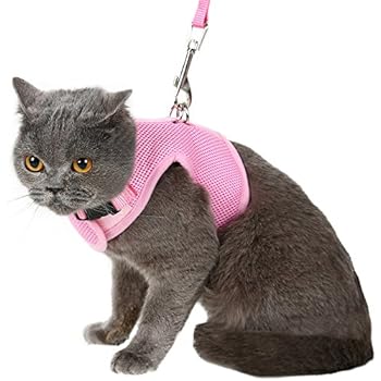 Pet Supplies : Cat Grooming Harness, Cat Restraint, Cat Grooming ...